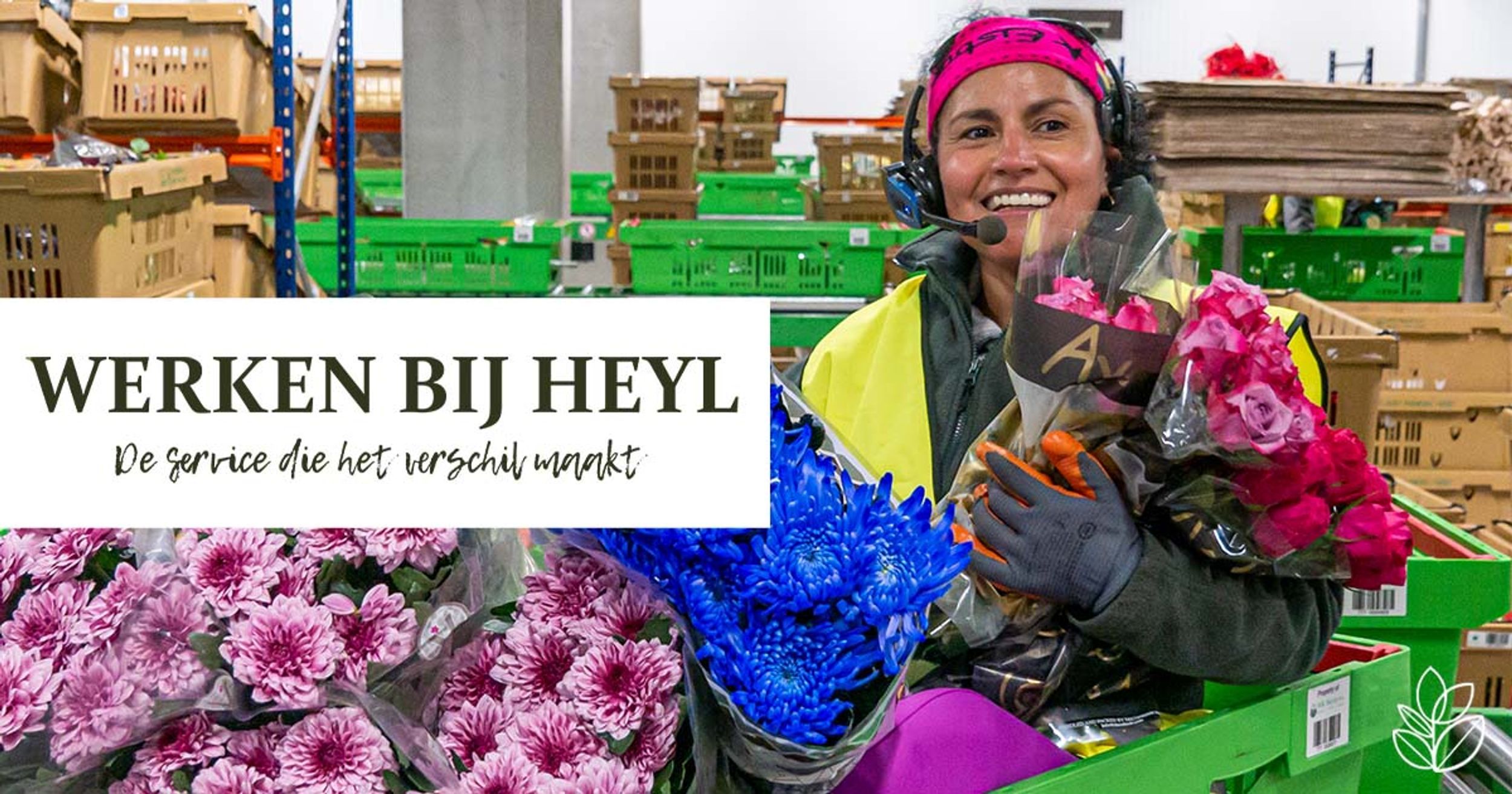 Orderpicker | Heyl - Blumengroßhandel / Floristikgroßhandel