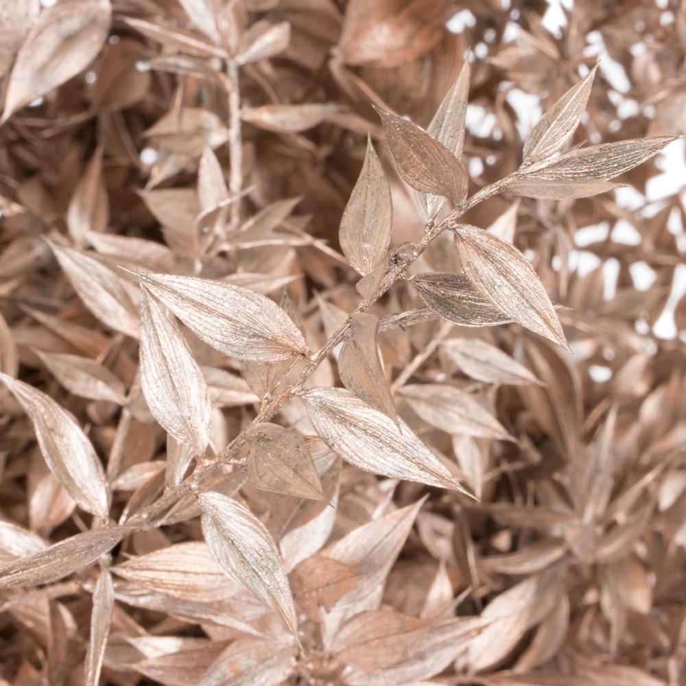 Wilder Ruskus rose Antik gefärbt 70cm (Diversen gefärbt) | Heyl ...