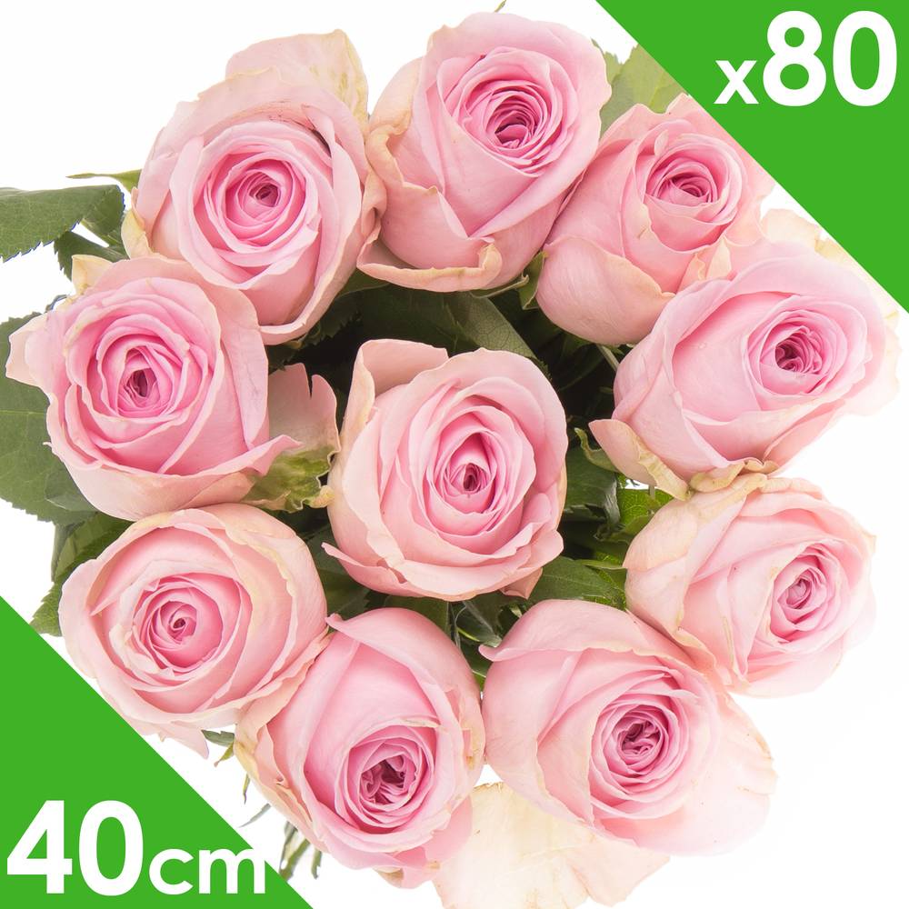 Product Heidi Rosa X80 40cm - Heyl