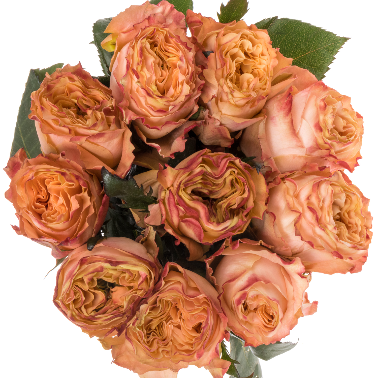 Princess Crown Flower Arrangement | Best Flower Site