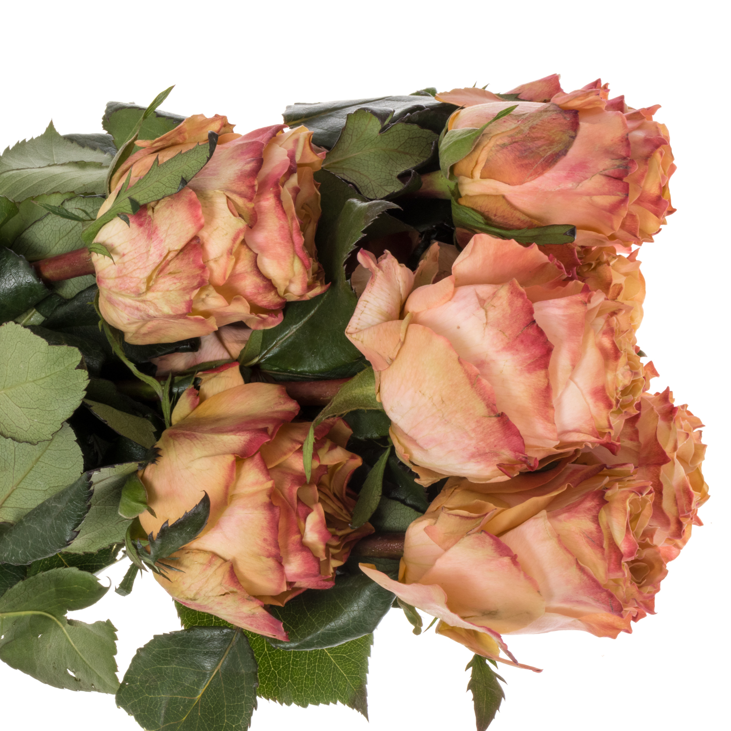 Princess Crown Flower Arrangement | Best Flower Site